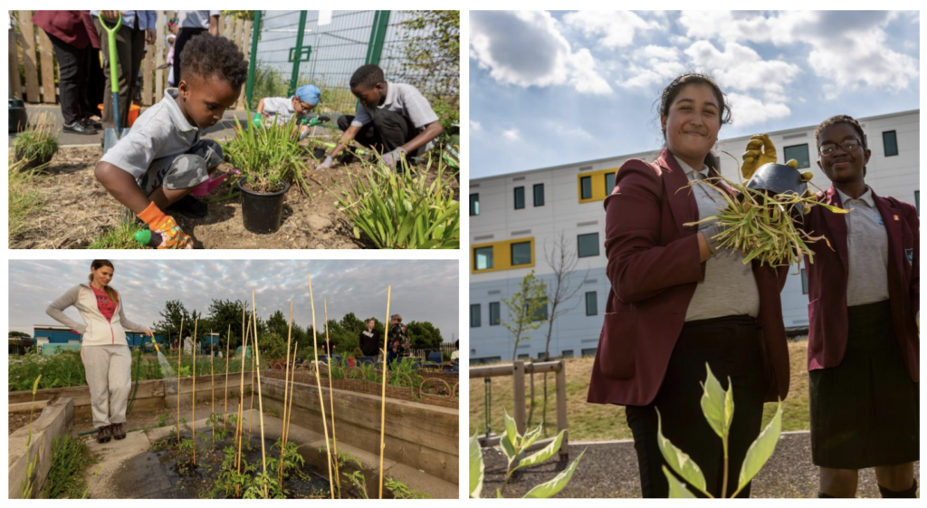 Barking Reach Residents Association Awarded £10K for New Barking Food ...